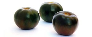 Circuito Productivo del Tomate: Etapas y Proceso Completo (2025)